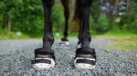 Renegade® Hoof Boots for Barefoot Horses. Horse Hoof Boots Made in USA ...