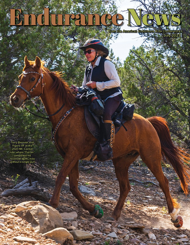 The Renegade® Gallery – Renegade Hoof Boots. Horse Hoof Boots Made in ...